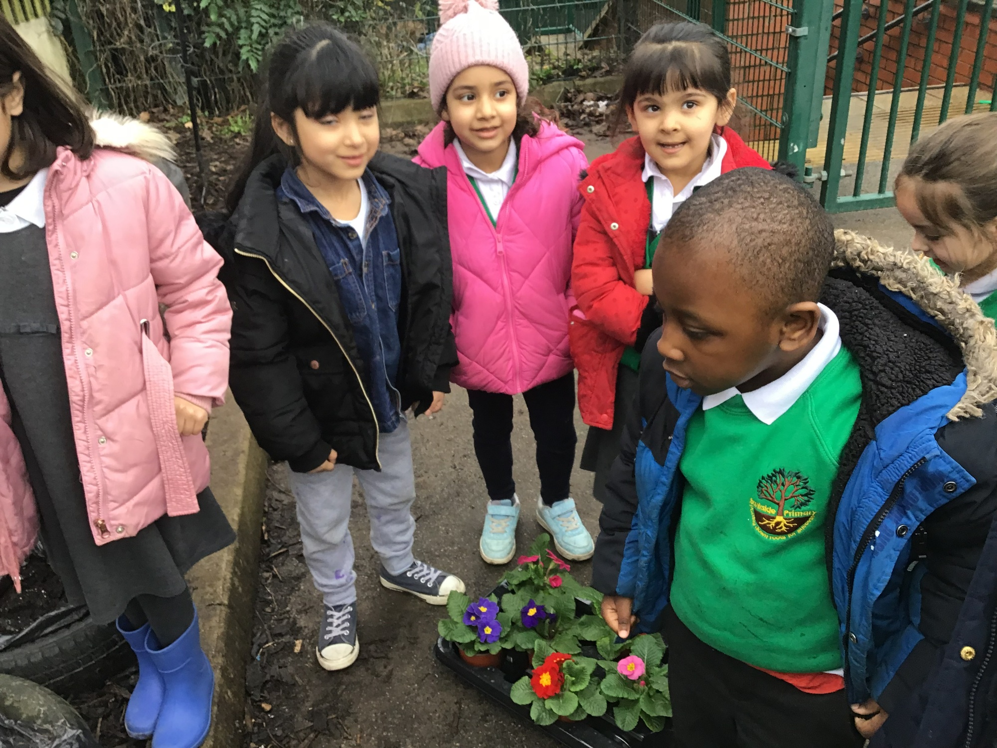 Bankside Primary School - Reception